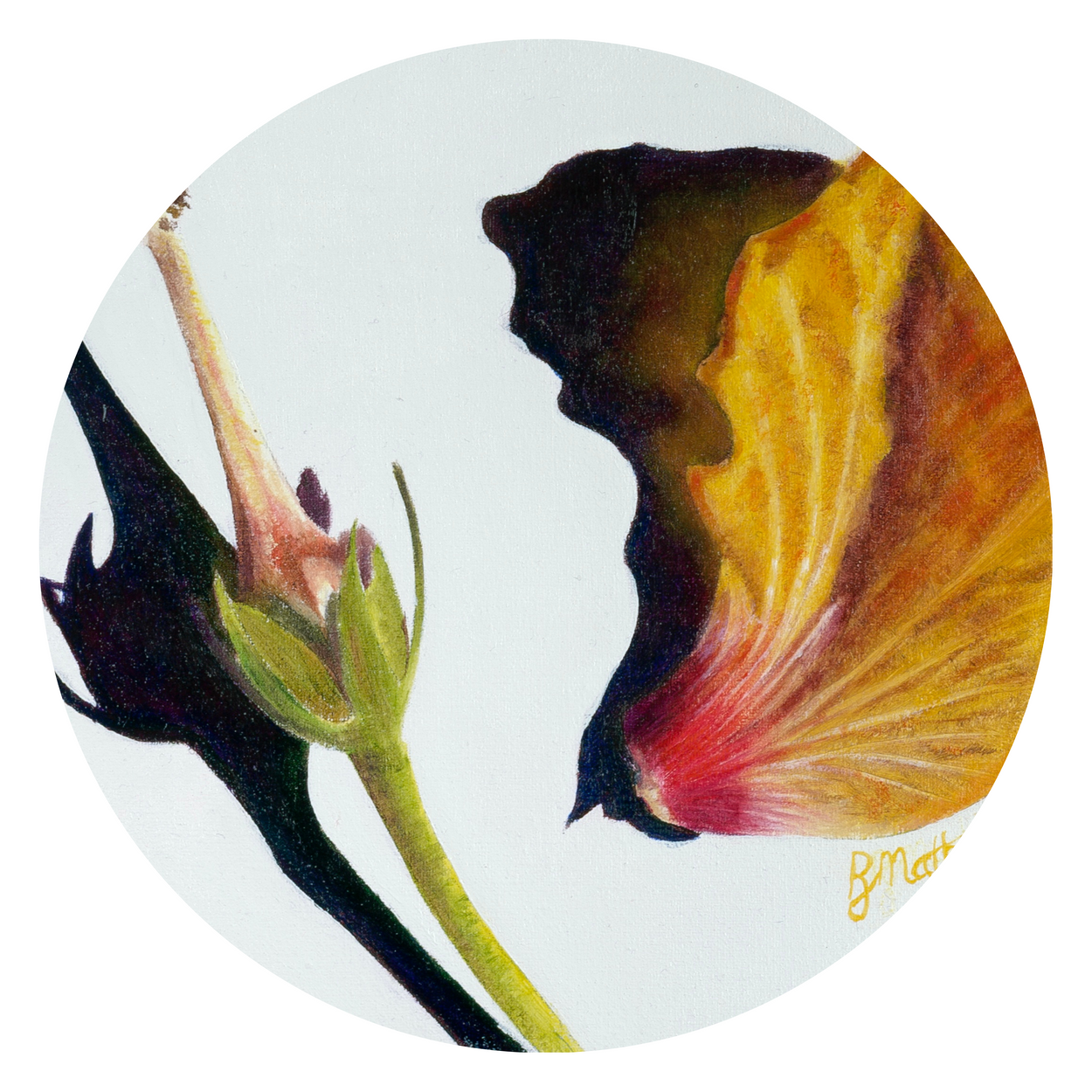 Rebecca Mathews Artist