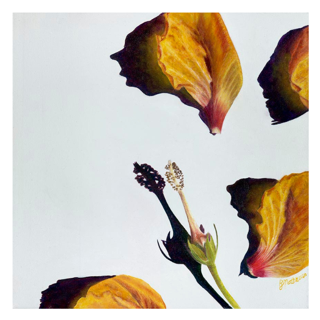 Golden Art - Fine Art Print – Rebecca Mathews Artist